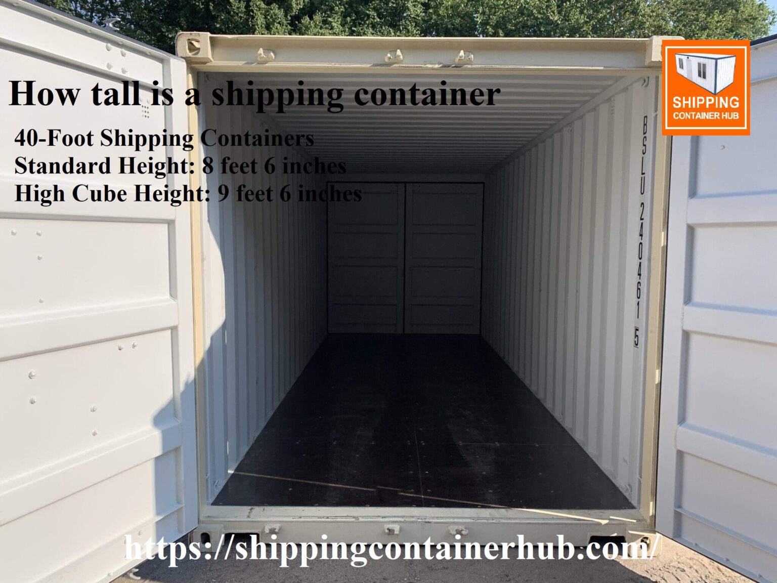 How tall is a shipping container: Everything You Need to Know - Best ...